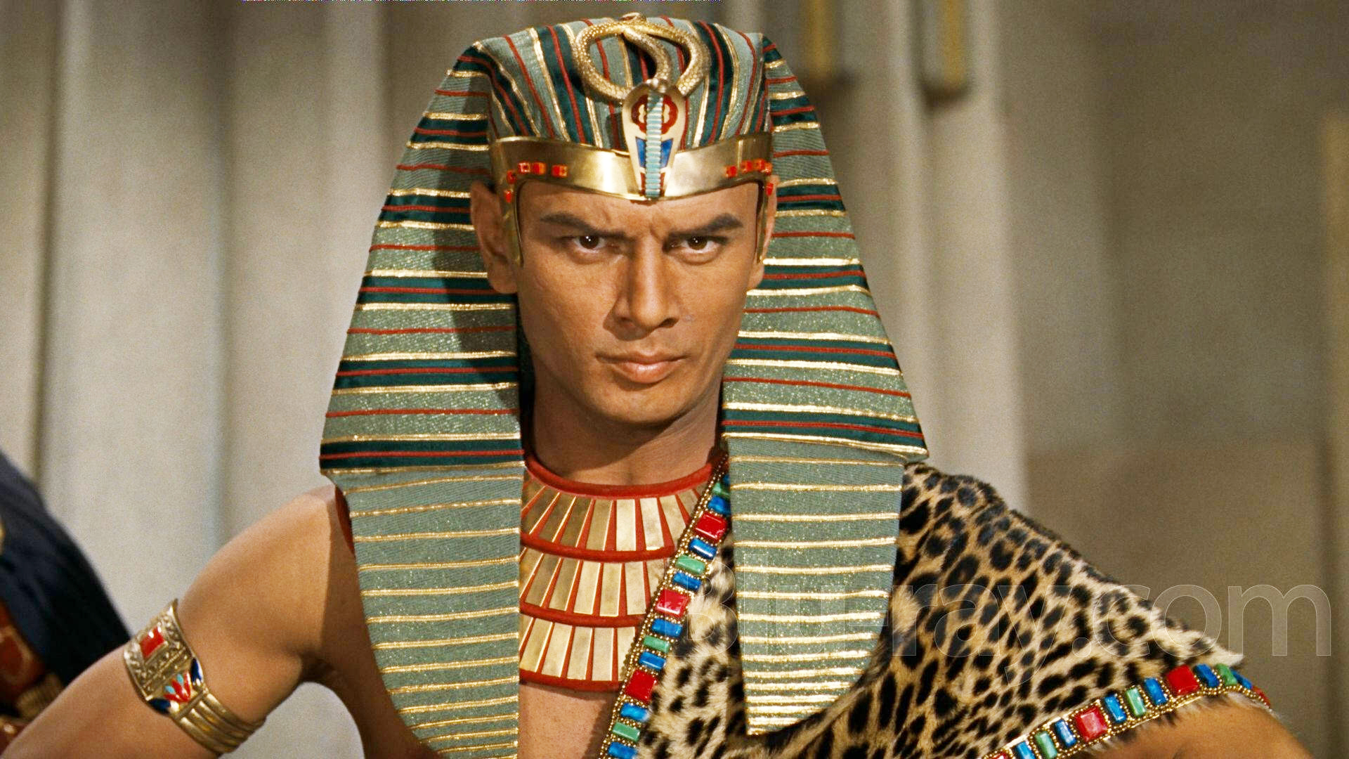 How Did God Harden Pharaoh’s Heart? – Believers Armed and Dangerous